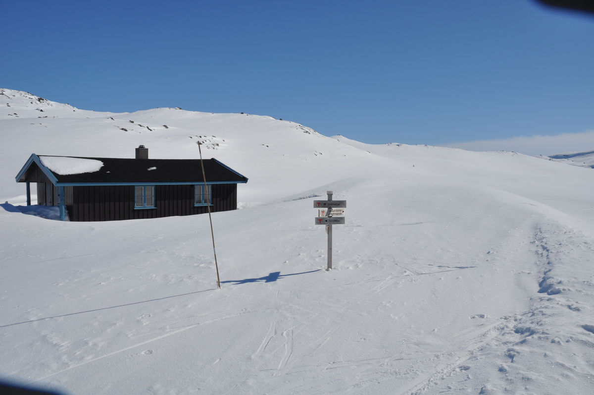 Rundtur på Filefjell