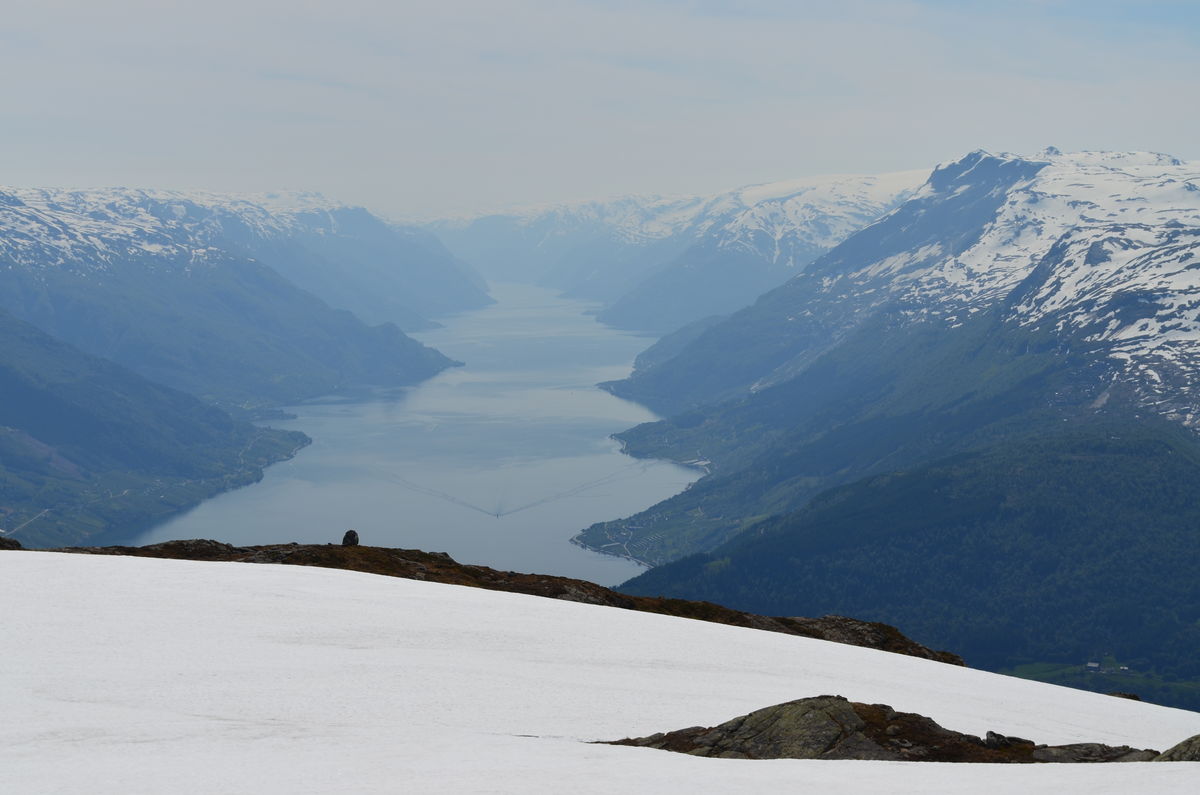 Oksen Hardanger