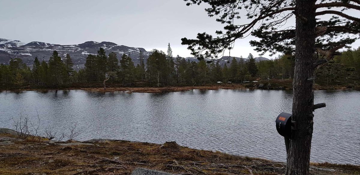 Svanevannet, Burfjord