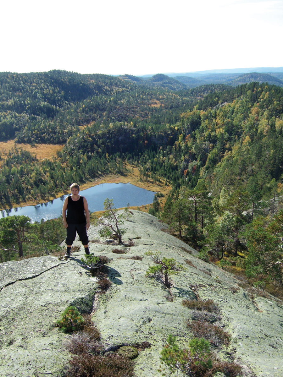 Moskam i Gjerstad kommune