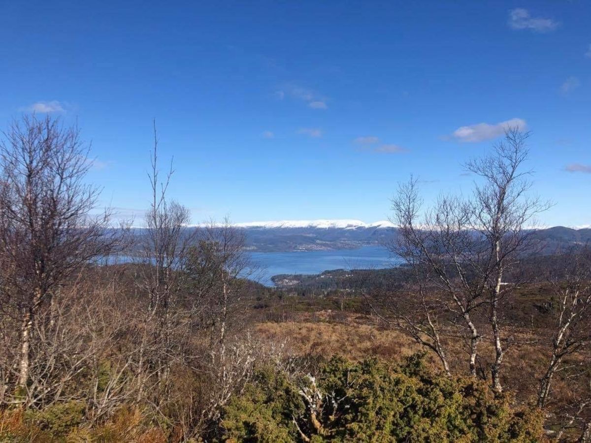Hamre - Iseggene til Valestrand