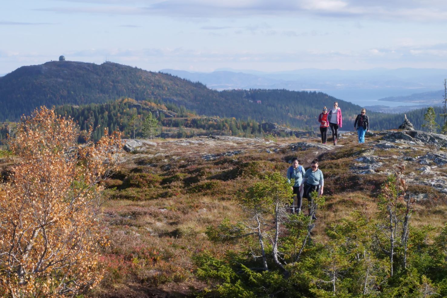 Skistua - Bosbergheia - Storheia