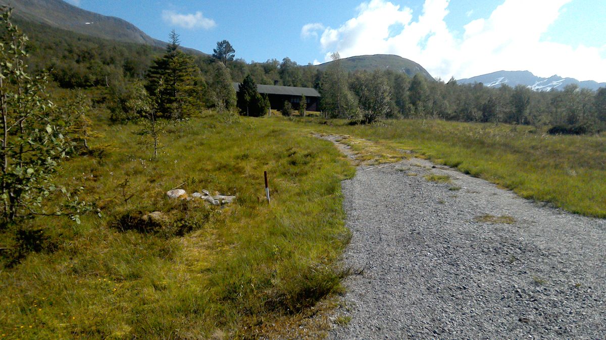 Fottur til Fitjakollen i Ladalen fra Gamlestølen