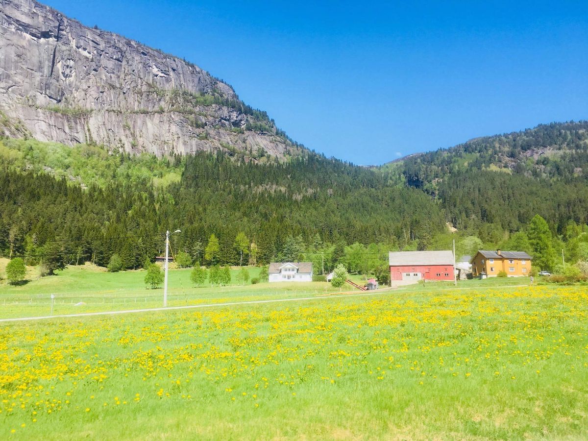 Storslått tur til Homfjell 950 MOH, Valle i Setesdal