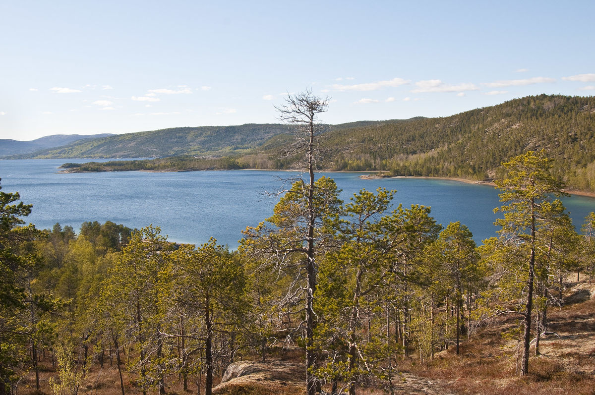 Fottur fra Kallstad ved Oppeid til Sagpollen ved Innhavet