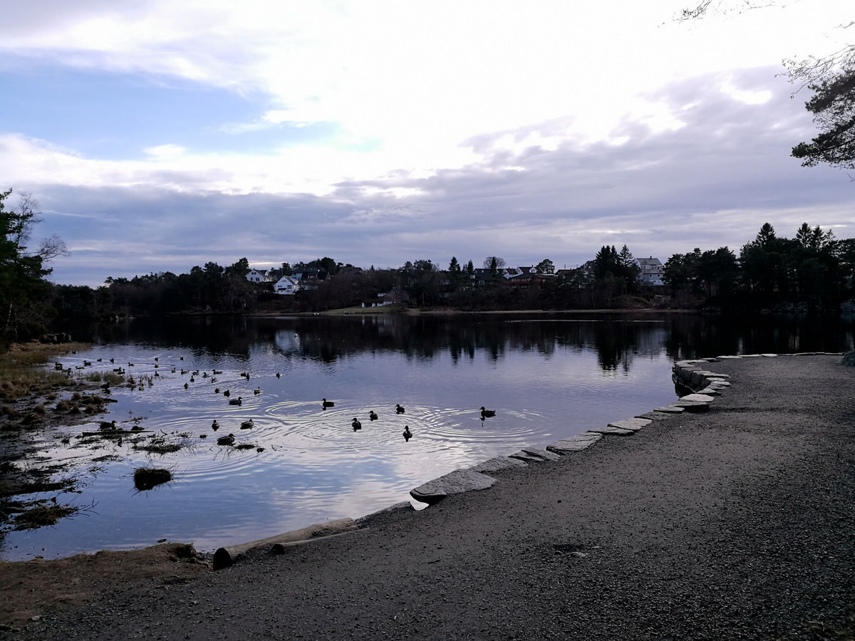 Hverdagstur på Sandsli