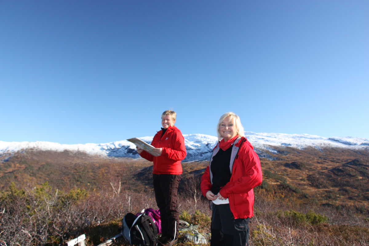 Gjengedalstøylen - Mehaugen (652 moh), Hyen i Gloppen kommune