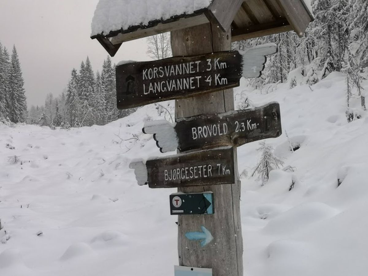 skitur fra Bruvoll og over Dalsjøhøgda til Bruvoll