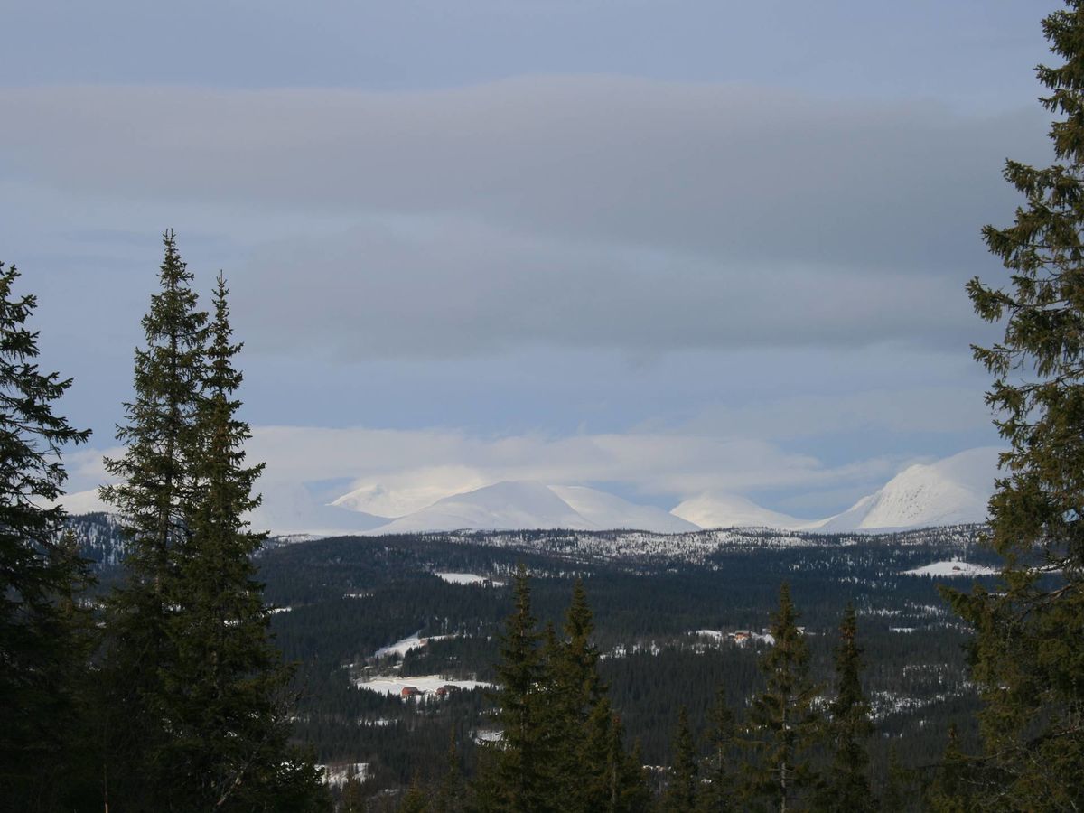 Norge på langs med barn / Etappe 12 / Sandmoen – Hattfjelldal