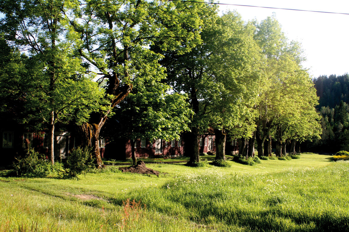 Vadstøvannet rundt i Gjerstad kommune