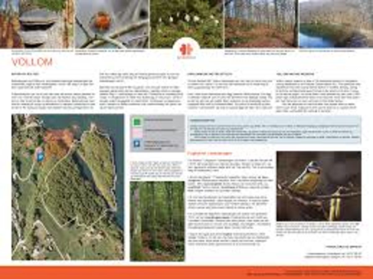 Vallevika - rundtur ved Bøkeskogen, Alver kommune