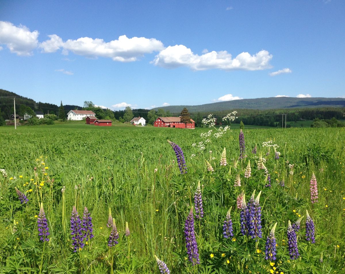 Prestfoss rundt på sykkel
