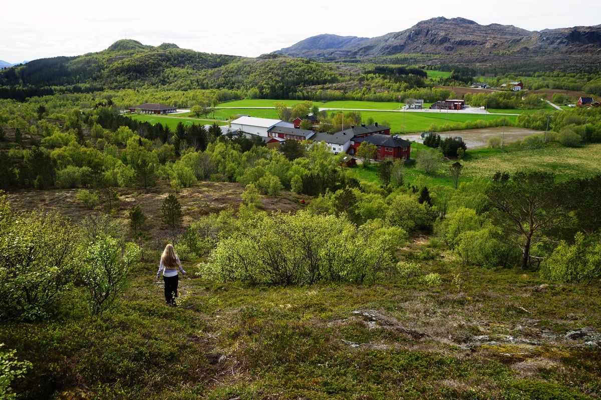 Utsiktstur til Olberget ved Leka skole Utsiktstur til Olberget ved Leka skole