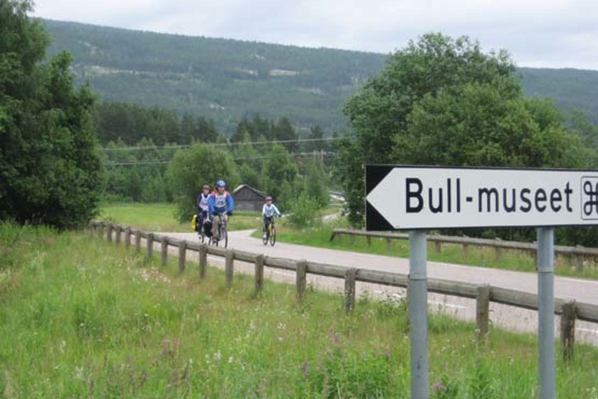 Sykkeltur fra Åkrestrømmen til Bullmuseet (Rendalen)