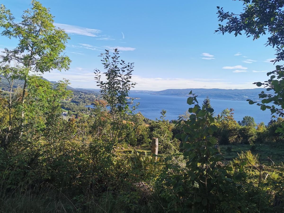 Tur til utsiktspunkt i Feiring