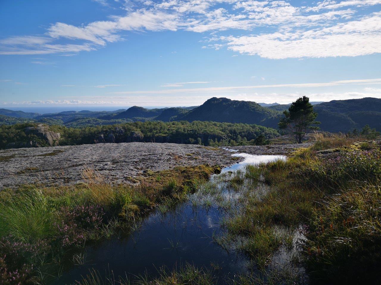 Rundturar om Elgjestraum, Vassenden og Hølen