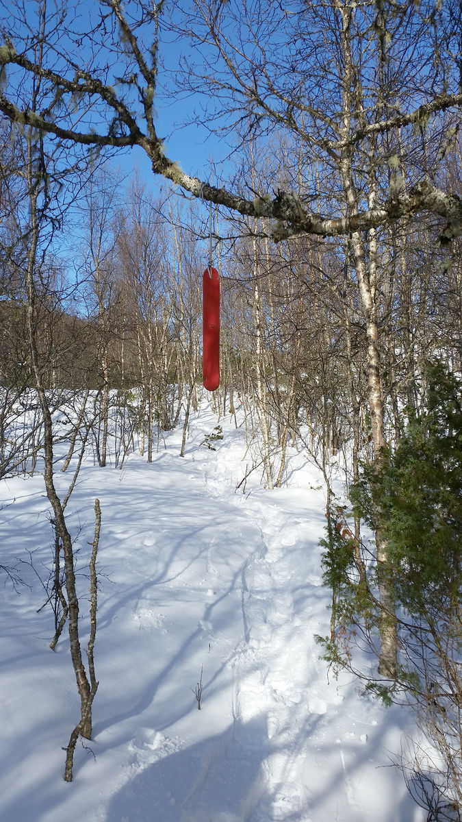 Topptur til Ramnbergan nedenfor Vetten ved Oppeid.