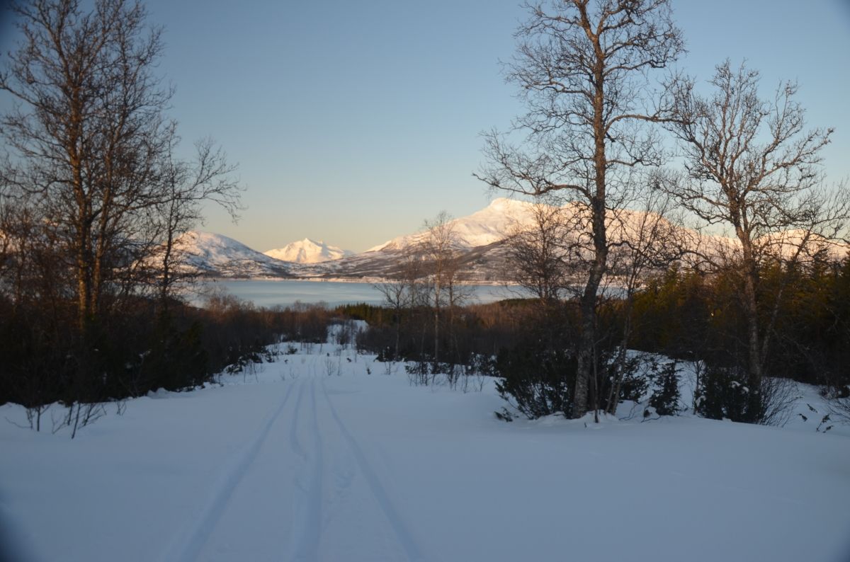 Skånland Evenskjer Rundtur i Kollanområdet