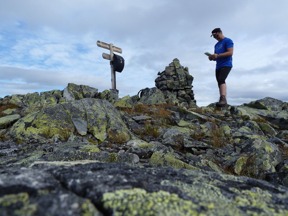 Over topper til Ramfjellet