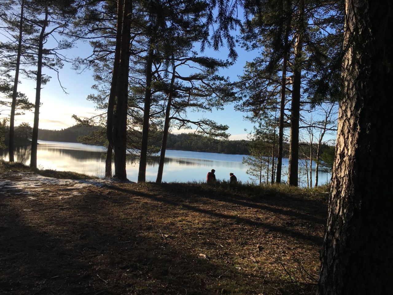 Drivenesheia rundt: Smååsan - Loland - Stølen Lindekleiv