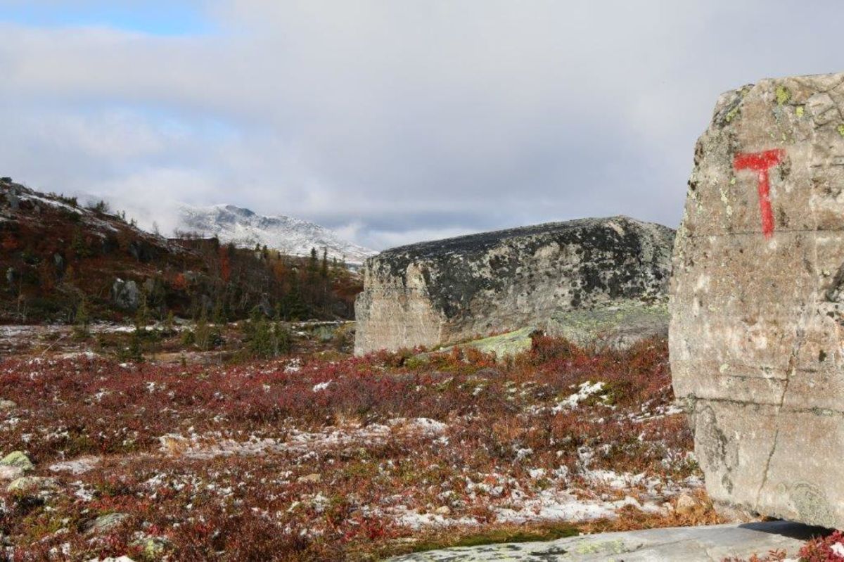 Eggedal Sentrum – Tempelseter