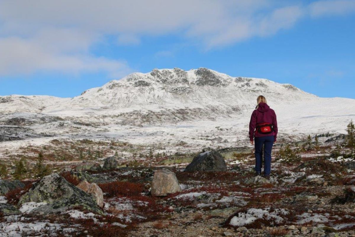 Rundtur : Eggedal Sentrum – Høgevarde – Toveseter – Eggedal Sentrum