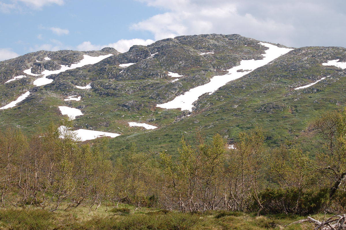 Et besøk på Aust-Agder's høyeste topp Sæbyggjenuten