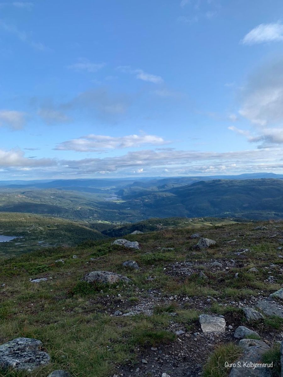 Eggedal Sentrum – Drotningutunatten