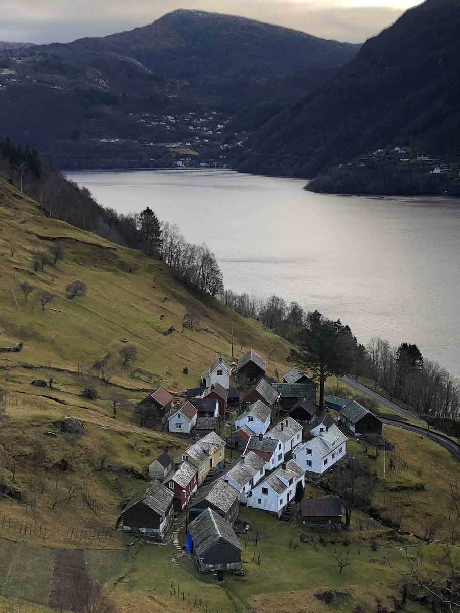 Havrå fra Kvisti over Hæddena