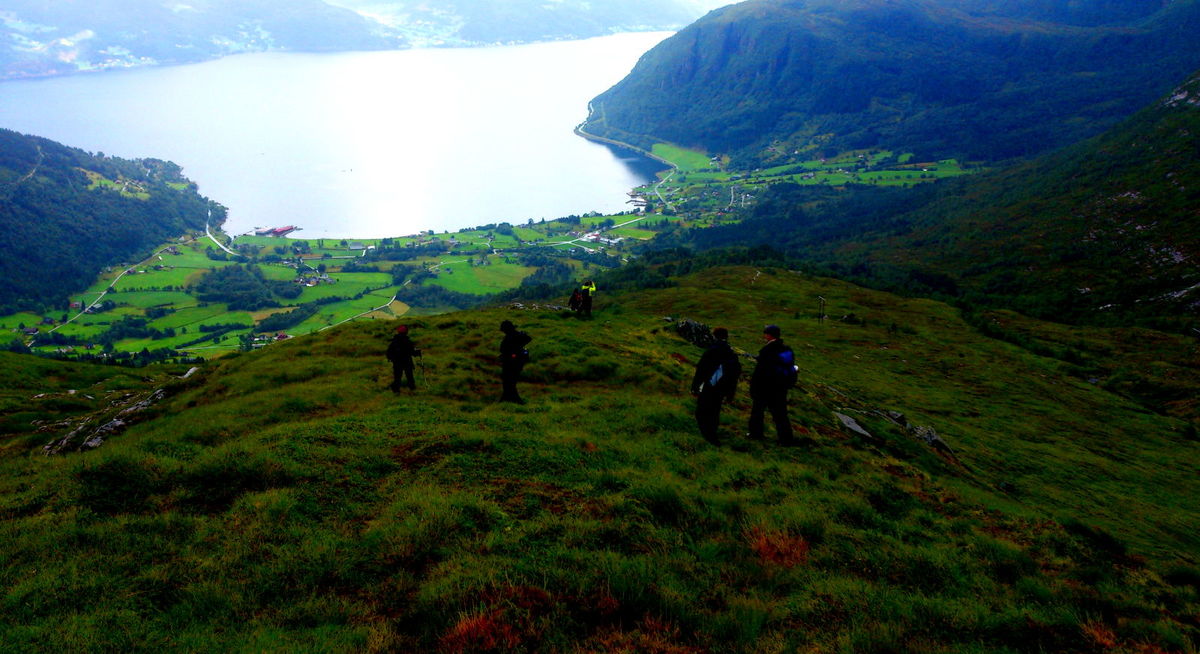 Blålida Troda Davik