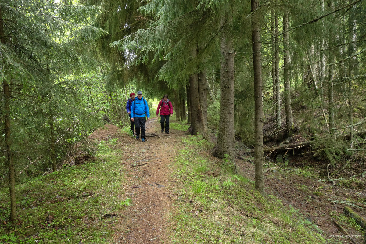 Bjørgeberget i Brumunddal