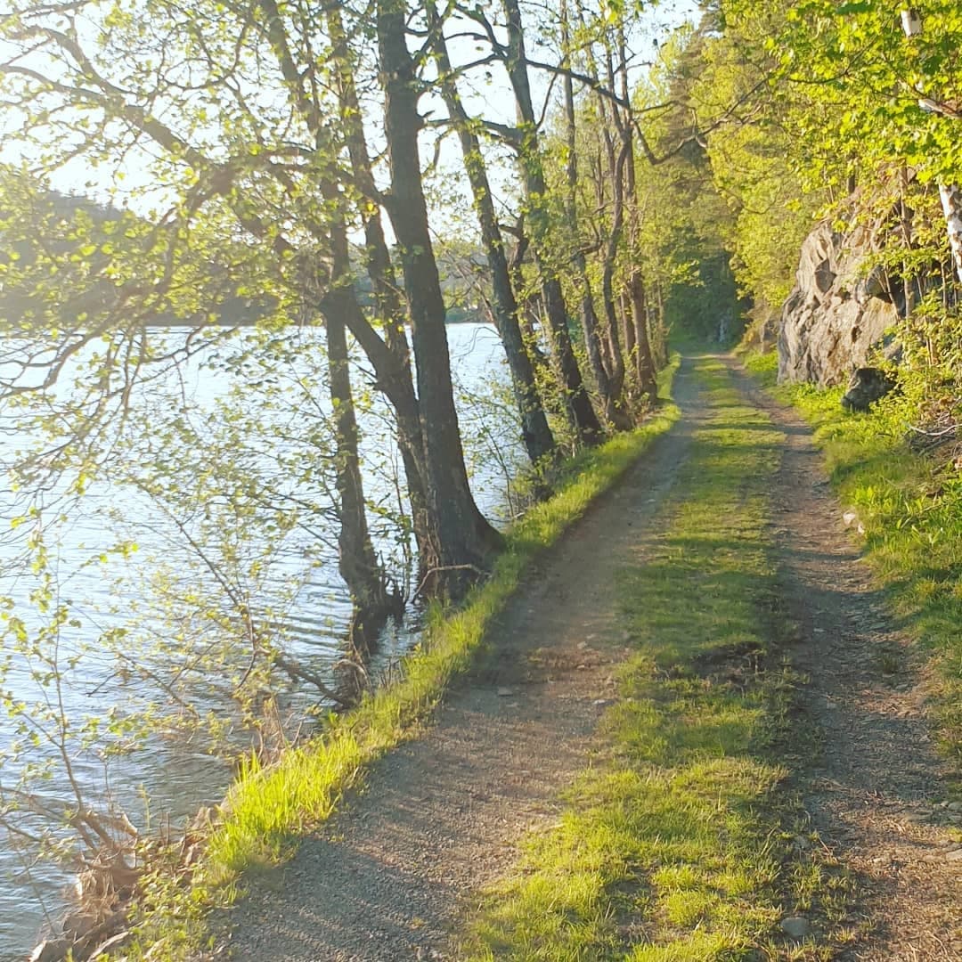 Vasstøvannet rundt i Gjerstad kommune