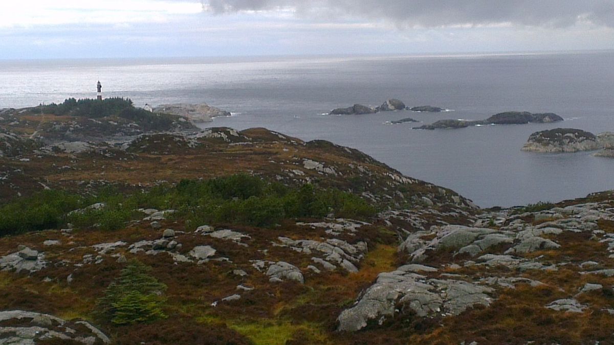 Brandasund og Brandasundsåta