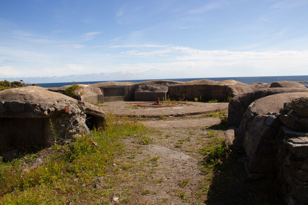 Rakke (Rullestolvennlig)