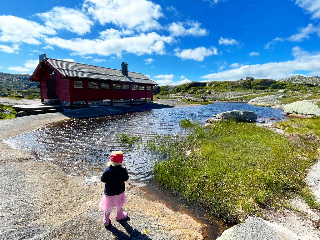 Børsteinen | DNT Hyttebestilling
