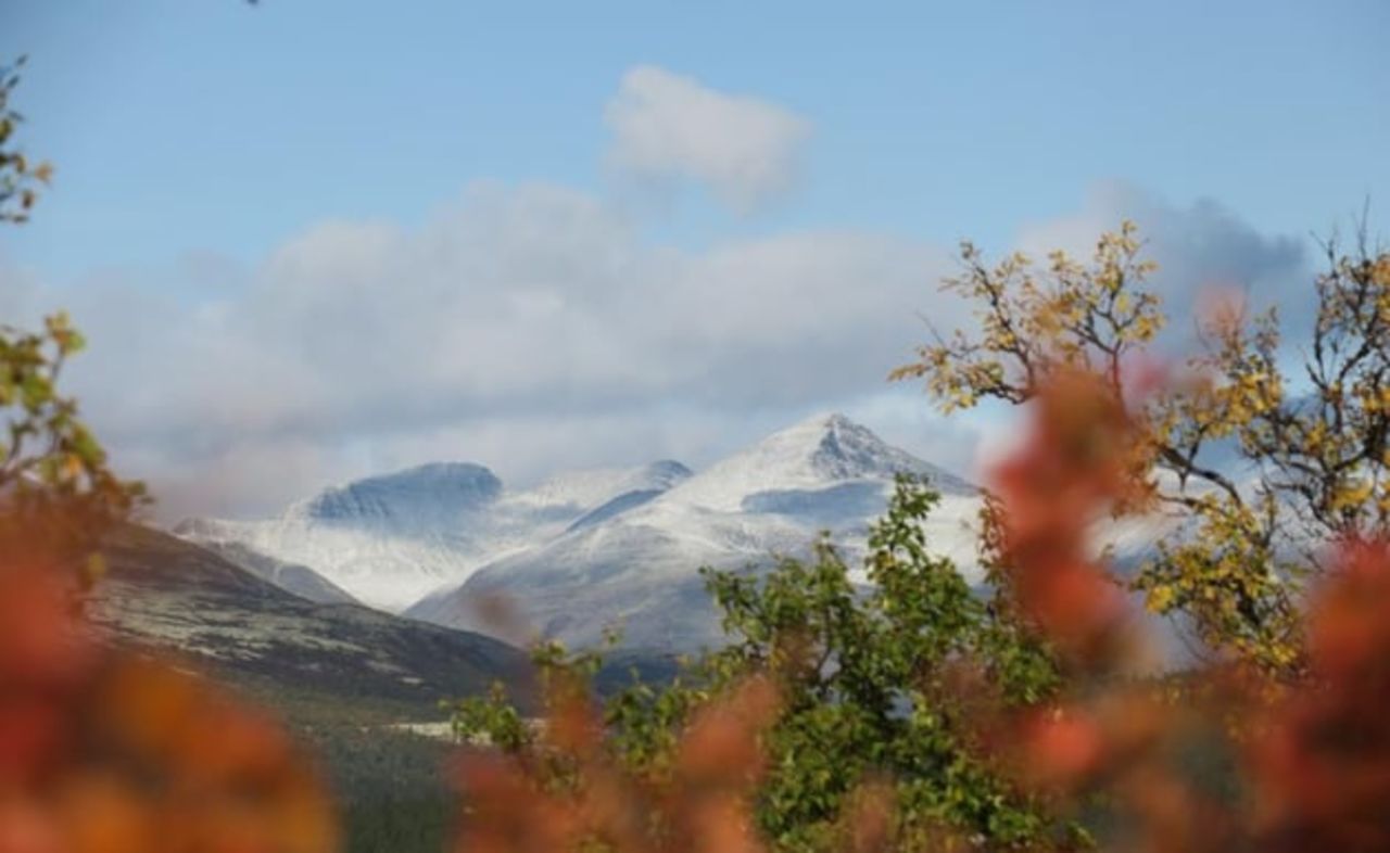 Vulustua i Sollia, et fantastisk utgangspunkt for fiske og friluftsliv ...
