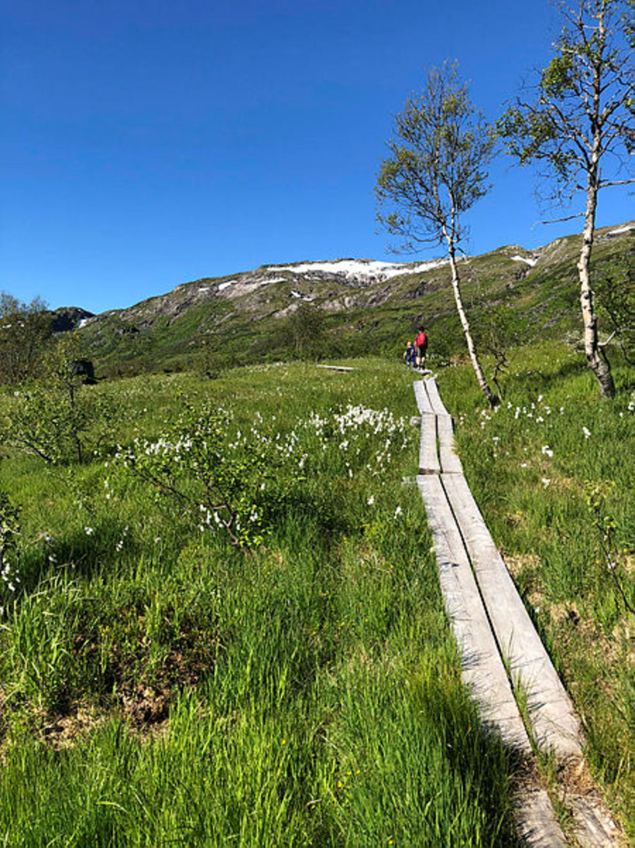Fra Stølsvatnet til Solrenningen | UT.no