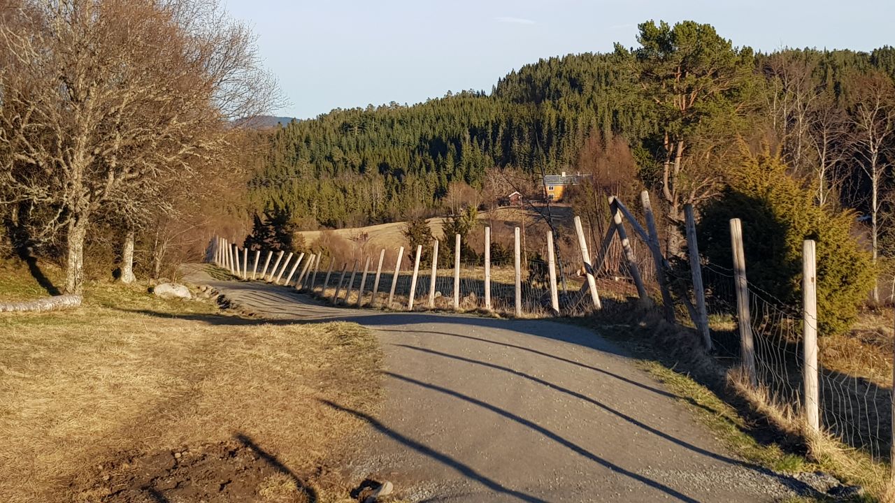 Fottur langs Driftsveien via Lavollen i Bymarka | UT.no