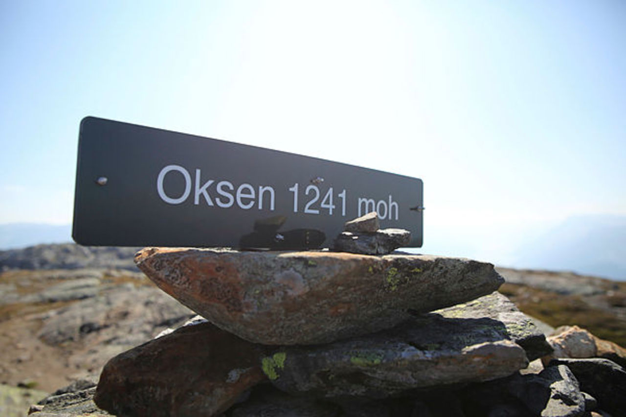 Oksen - legendarisk topptur ved Hardangerfjorden | UT.no