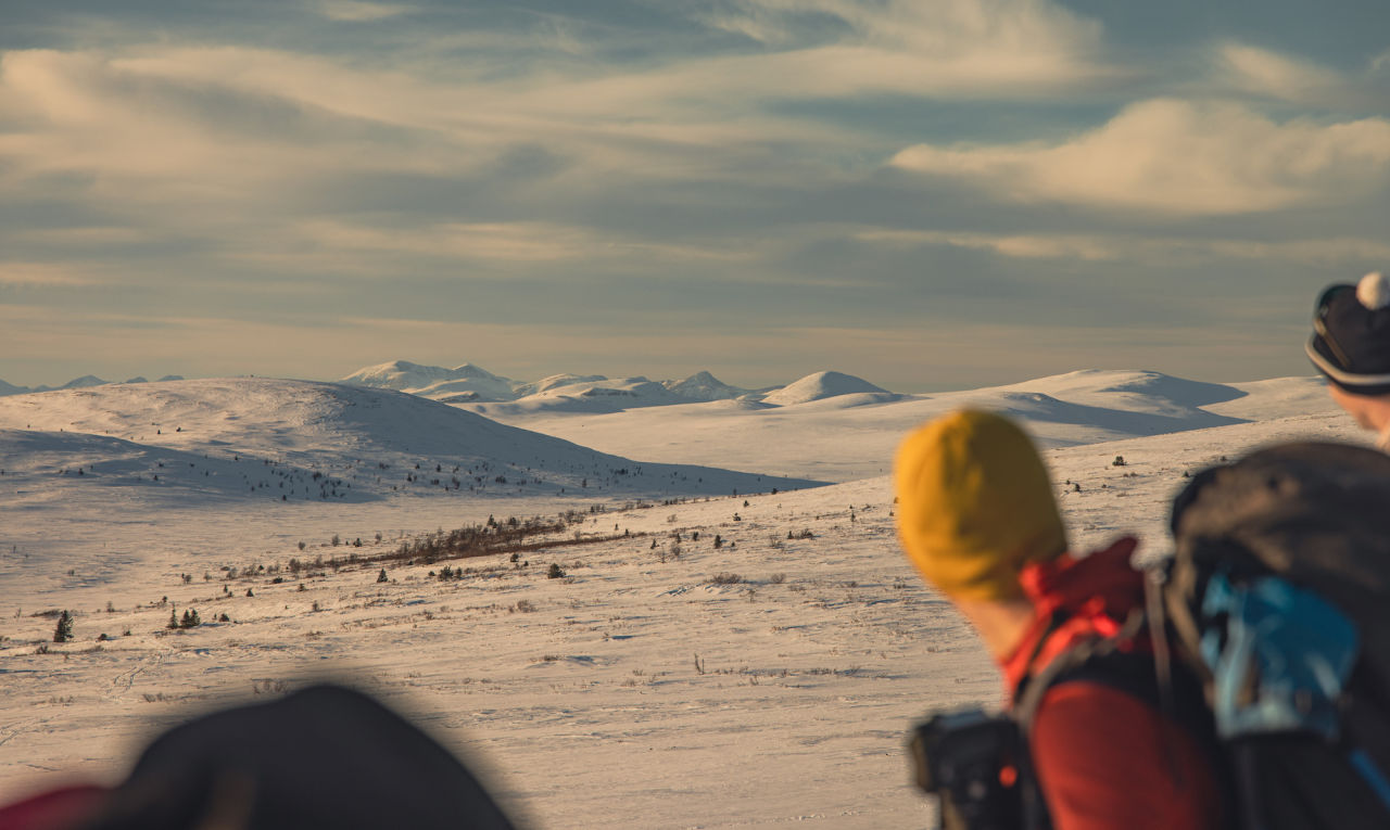 3-dagers rundtur på ski på Ringebu- og Venabygdsfjellet | UT.no