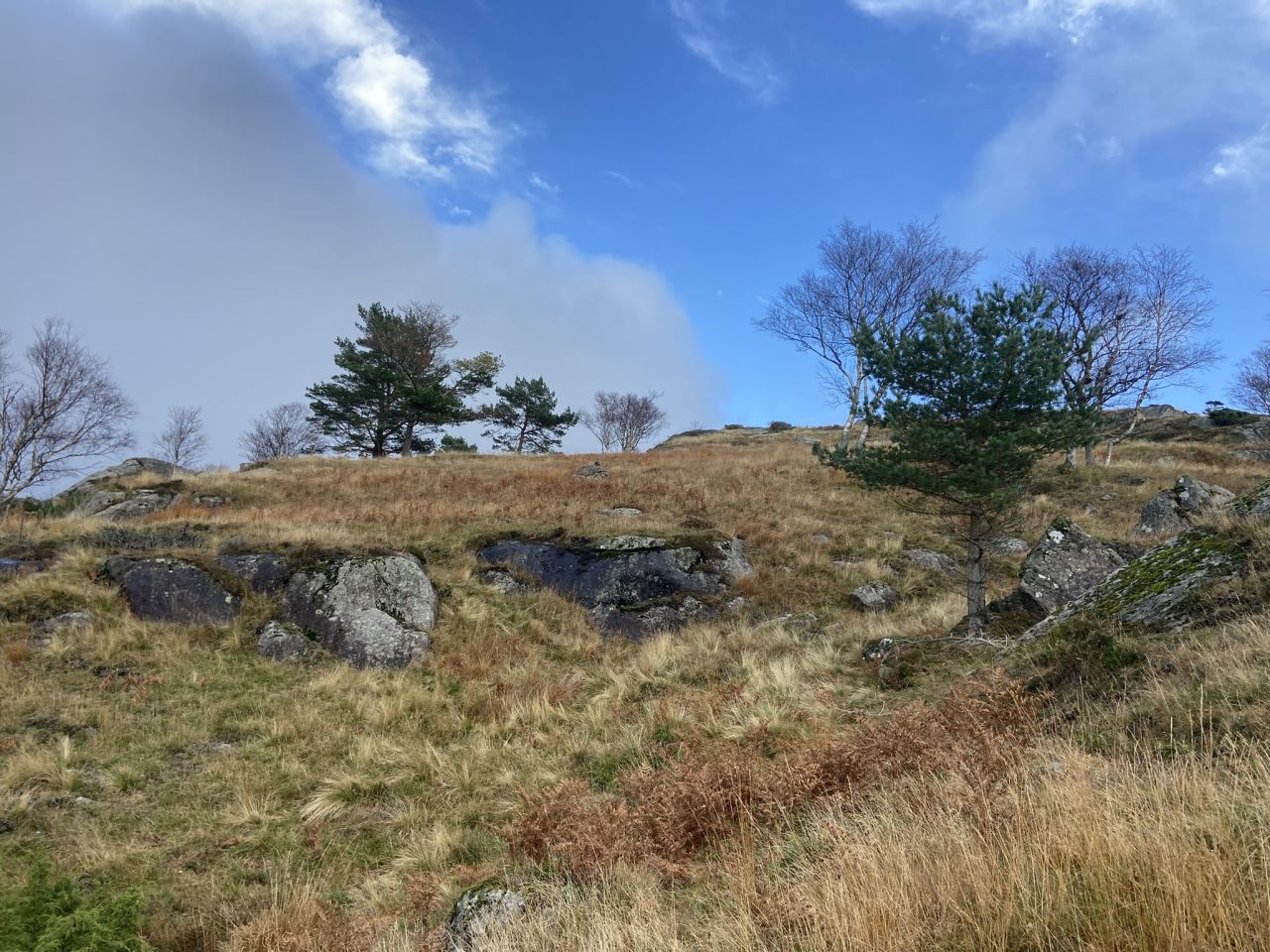 Hidra FK-Tur_Dunesfjellet | UT.no