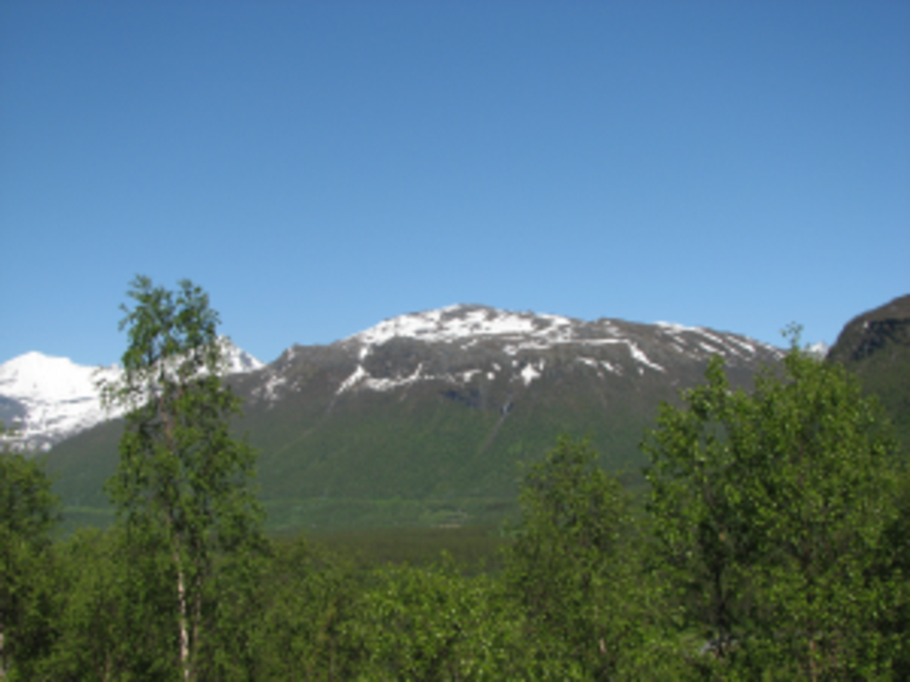 Fottur til Gråhøgda 994 moh | UT.no