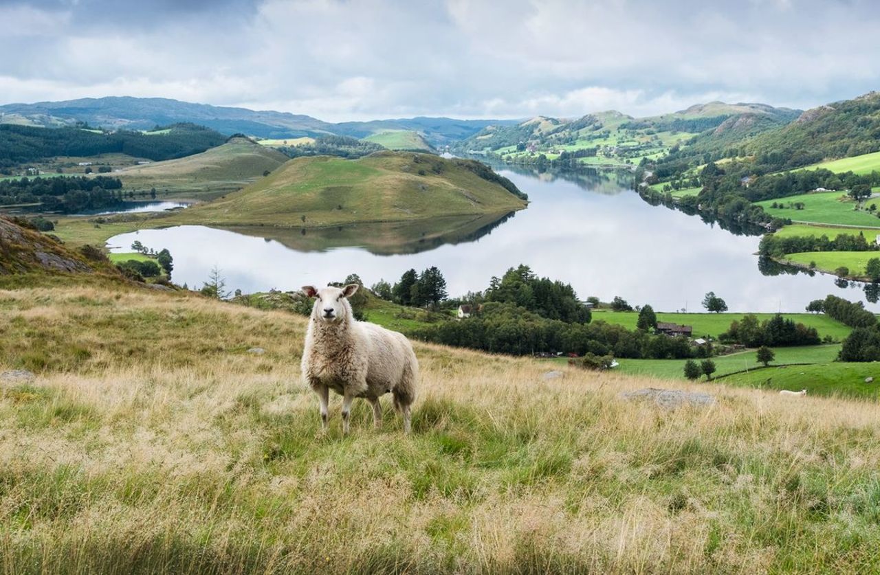 Fottur til Eikefjellet 321 moh. | UT.no