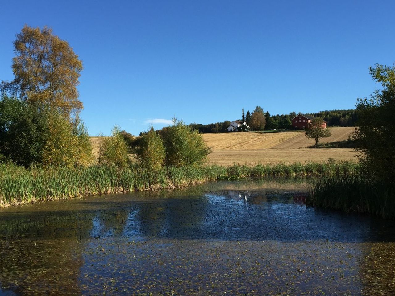 Raa og Ree natur- og kultursti | UT.no