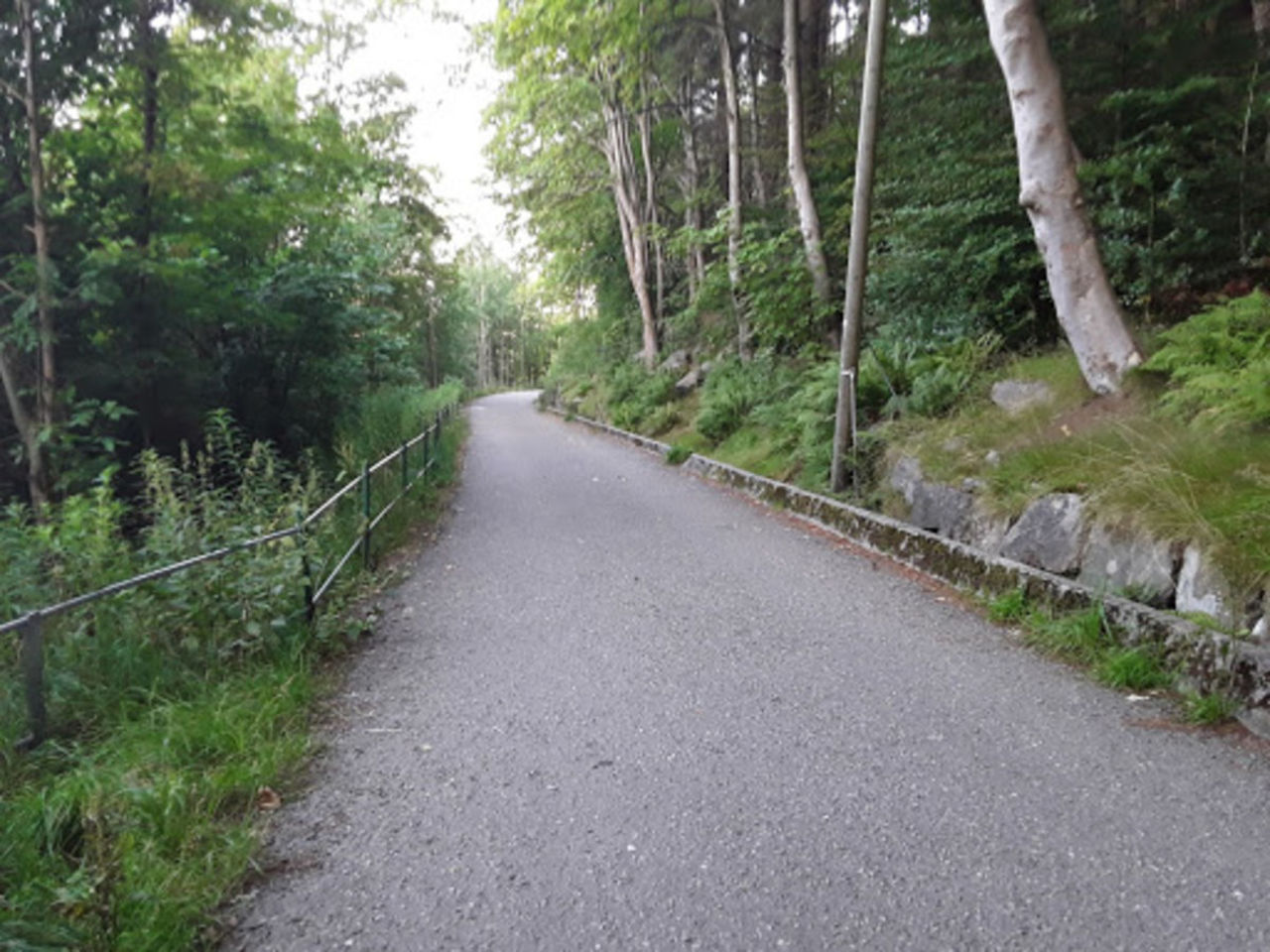 Rullestolvennlig tur langs Fjellveien