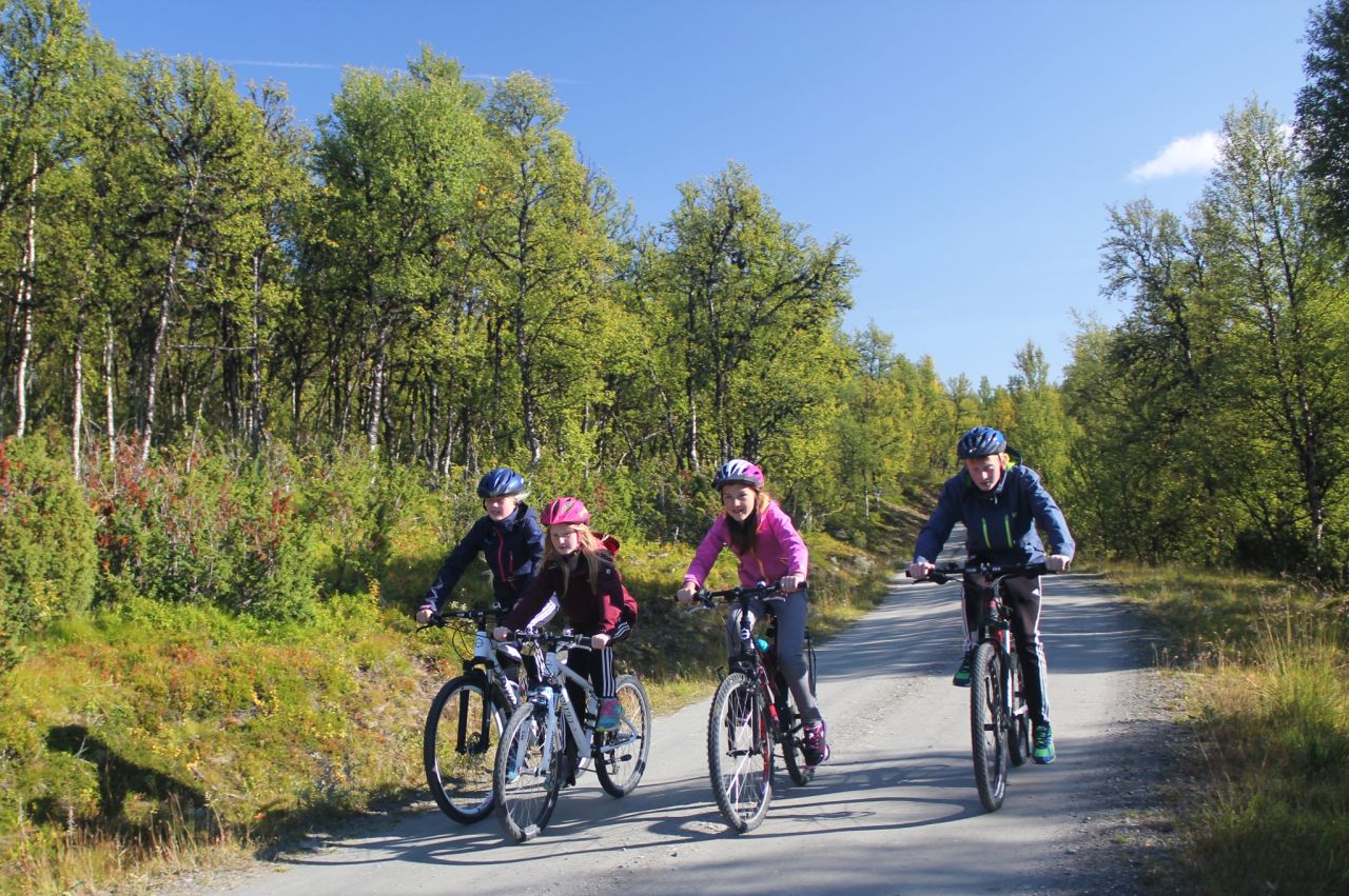 Sykkeltur til Bratthøvollen