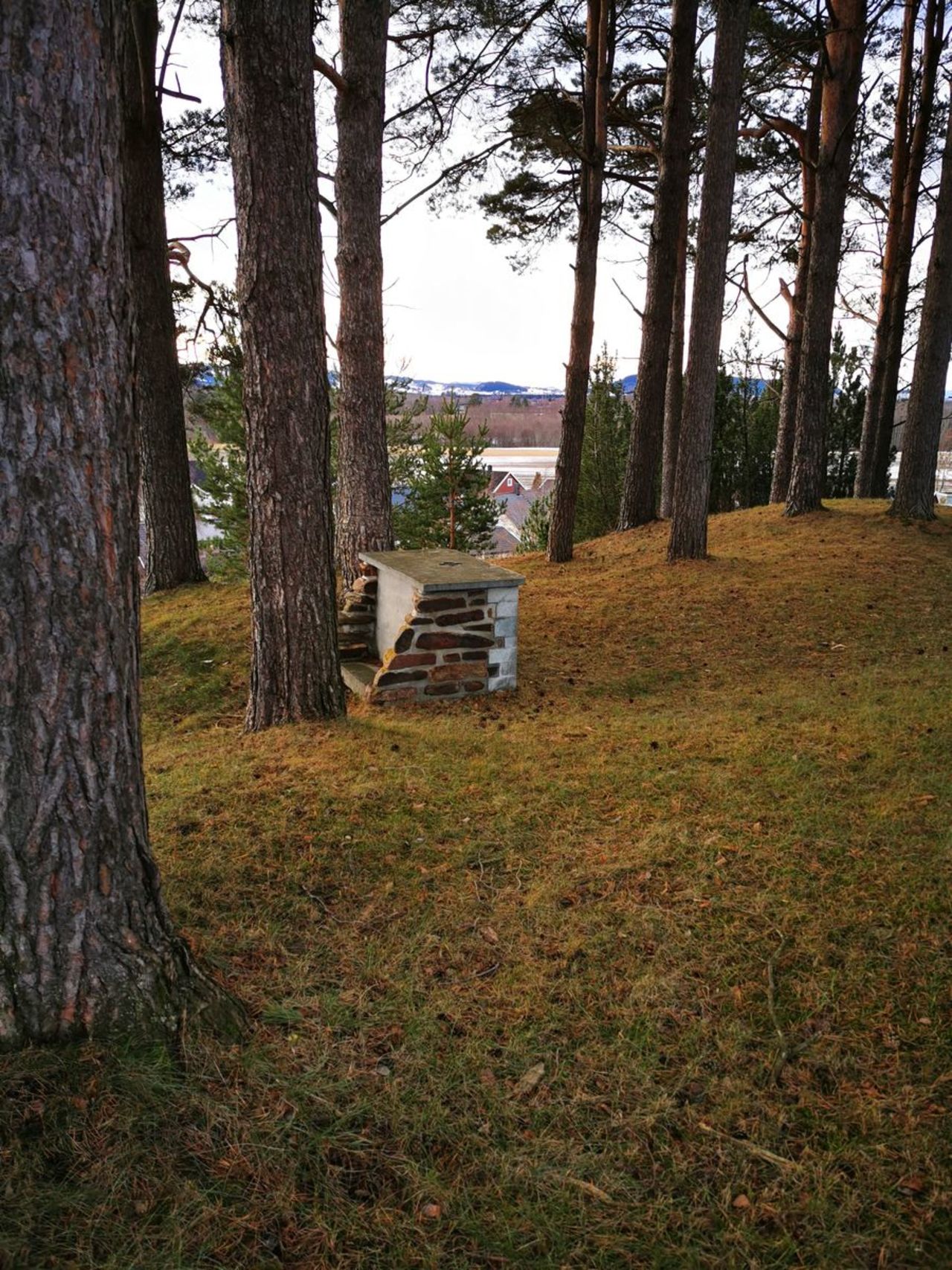 Verdal Kommune, Tur for alle. Tur 4