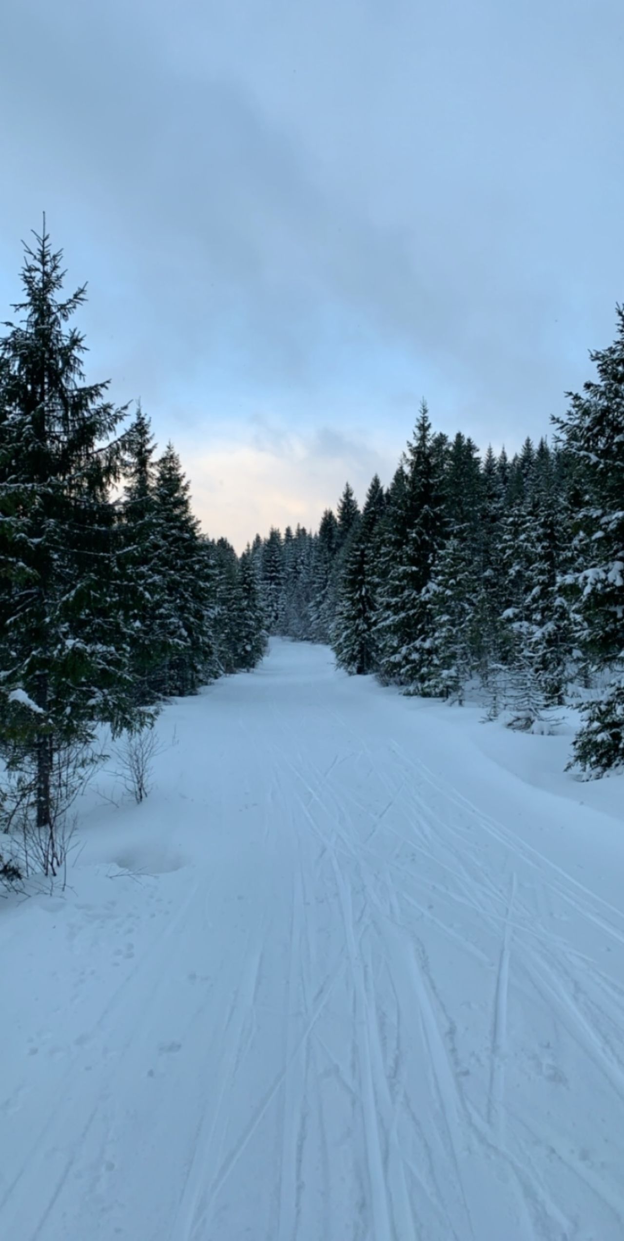 Bymarka på langs på ski, fra Ringvål til Trolla