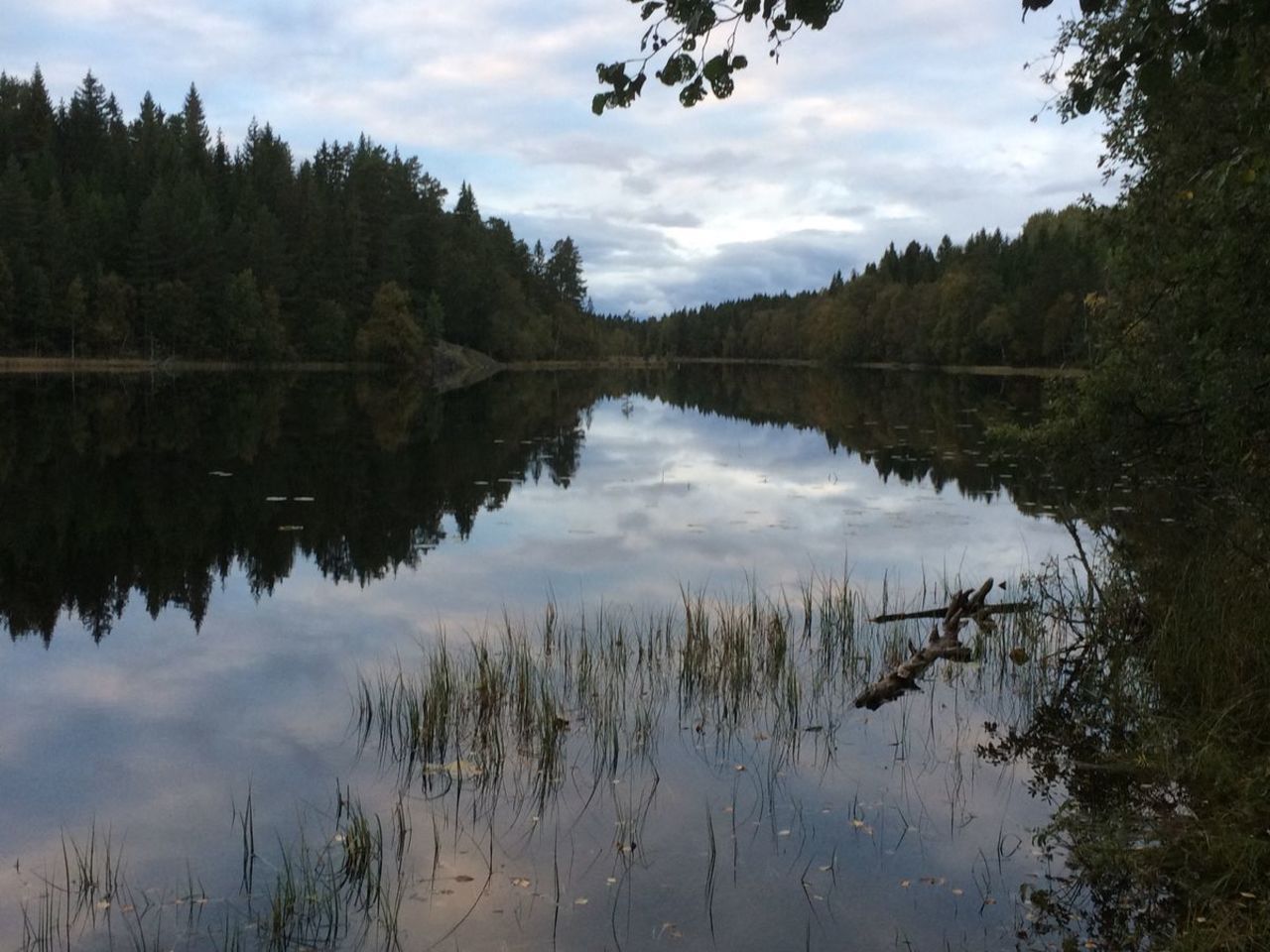 Neskollen - Hvamsetra