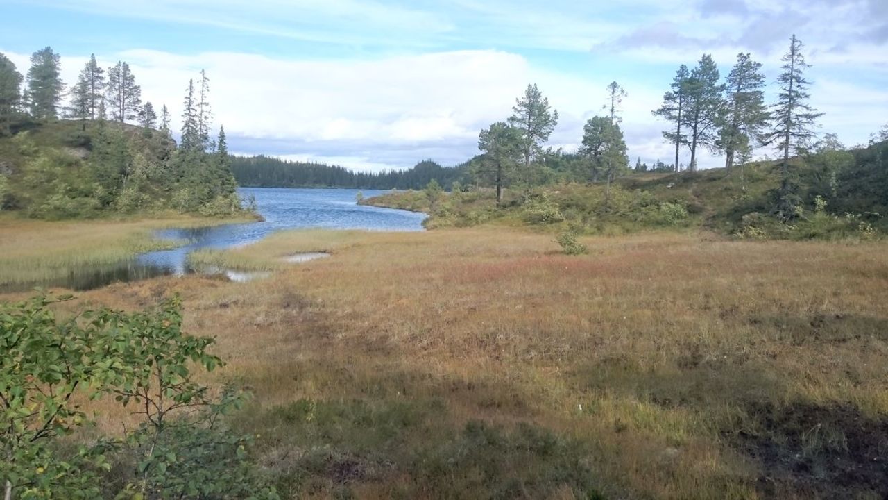 Rett ut Storheia fra Henriksåsen